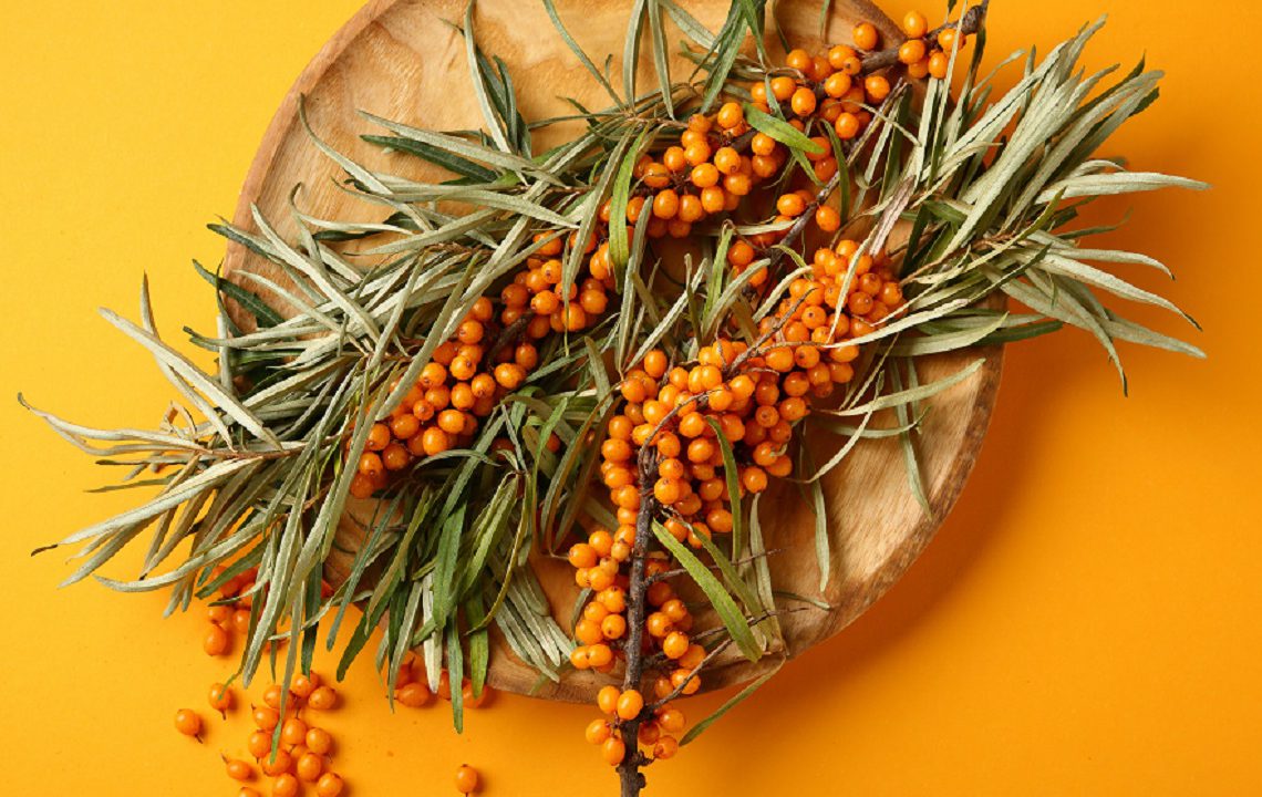 Beneficiile cătinei, regina imunității. Cum faci sirop de cătină la ...