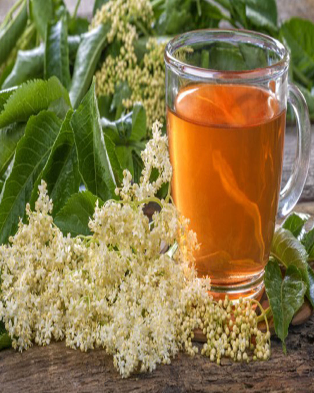 Ceaiul de soc, mai bun decât aspirina